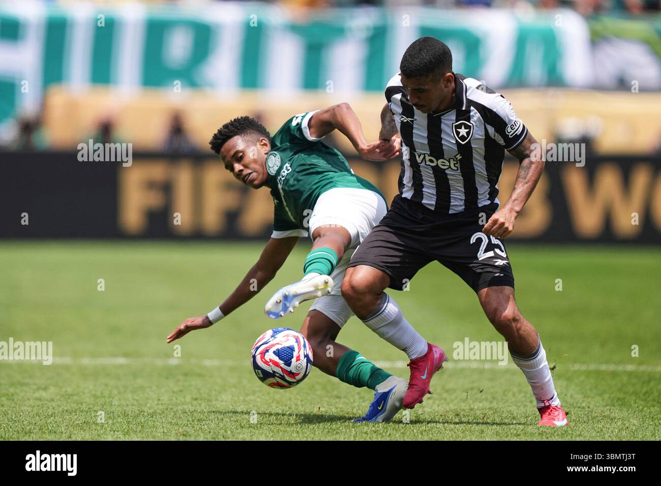 Botafogo's Allan (25) and Palmeiras' Estevao (41) battle for the ball ...