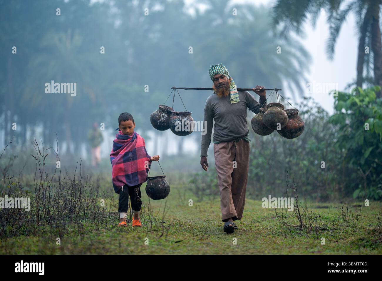 Rural Bengal winter scene of people collecting date palm sap to make ...