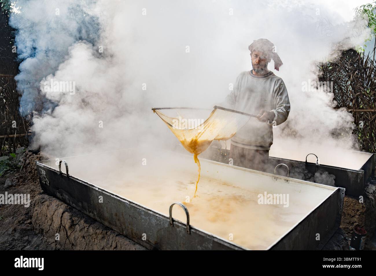 Rural Bengal winter scene of people collecting date palm sap to make ...