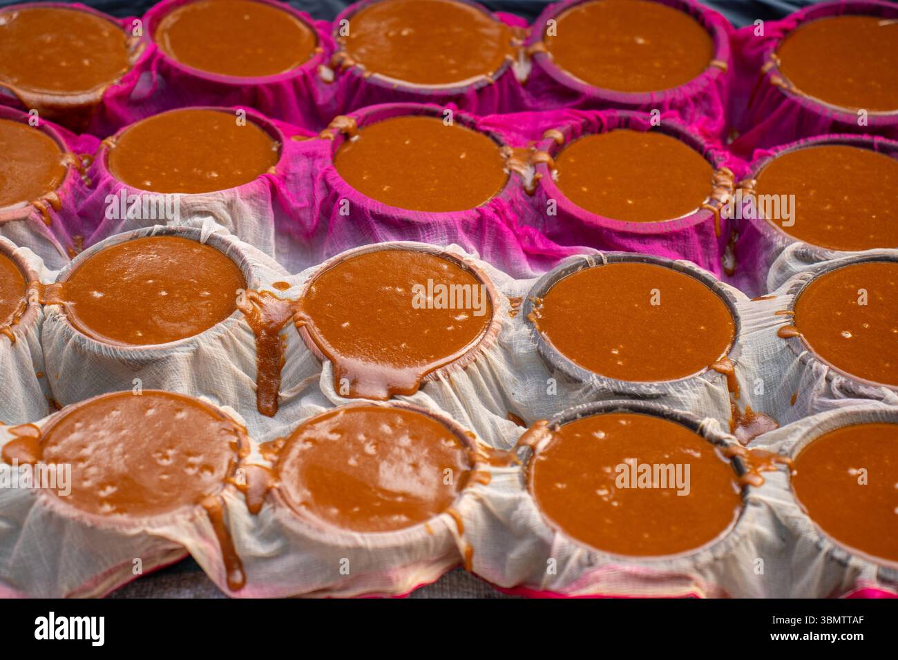 Rural Bengal winter scene of people collecting date palm sap to make ...