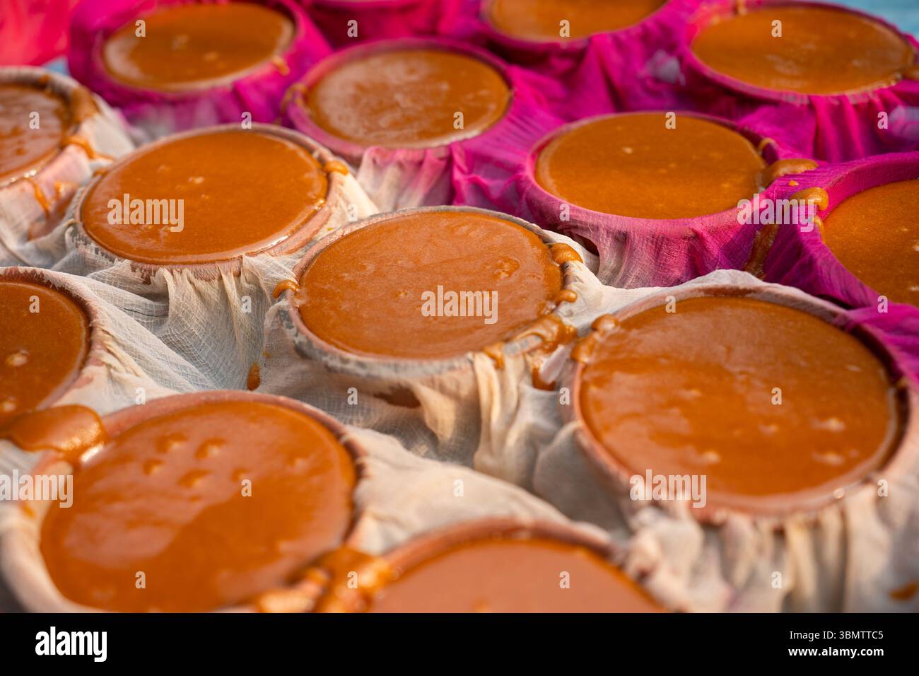 Rural Bengal winter scene of people collecting date palm sap to make ...