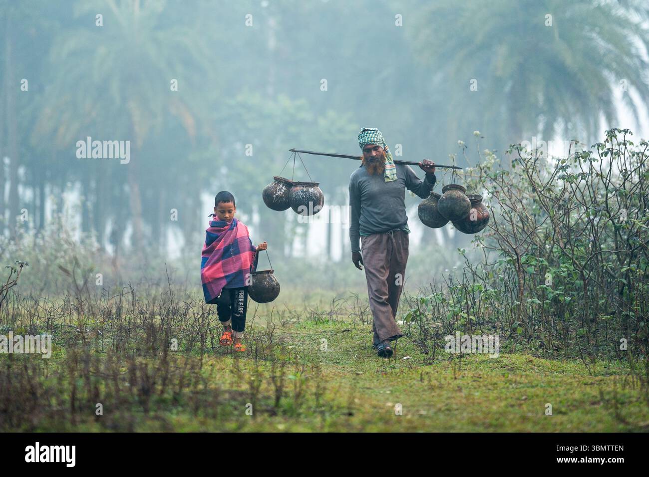 Rural Bengal winter scene of people collecting date palm sap to make ...