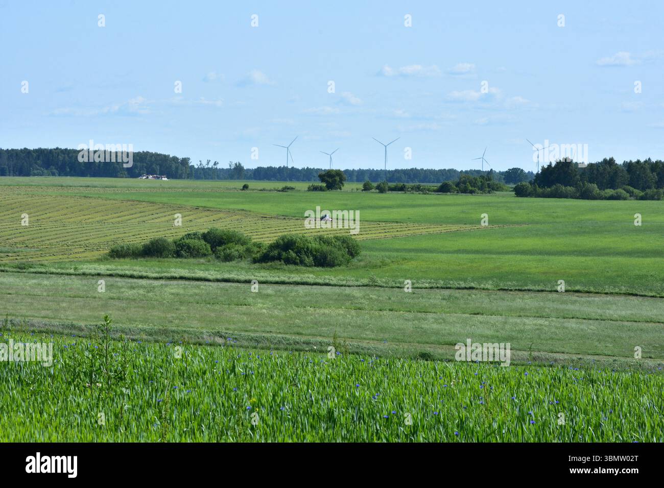 Wind turbines on wide fields hi-res stock photography and images - Alamy