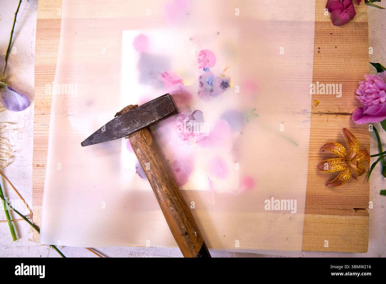 Botanical hammer art in action – flower pigments visible through ...