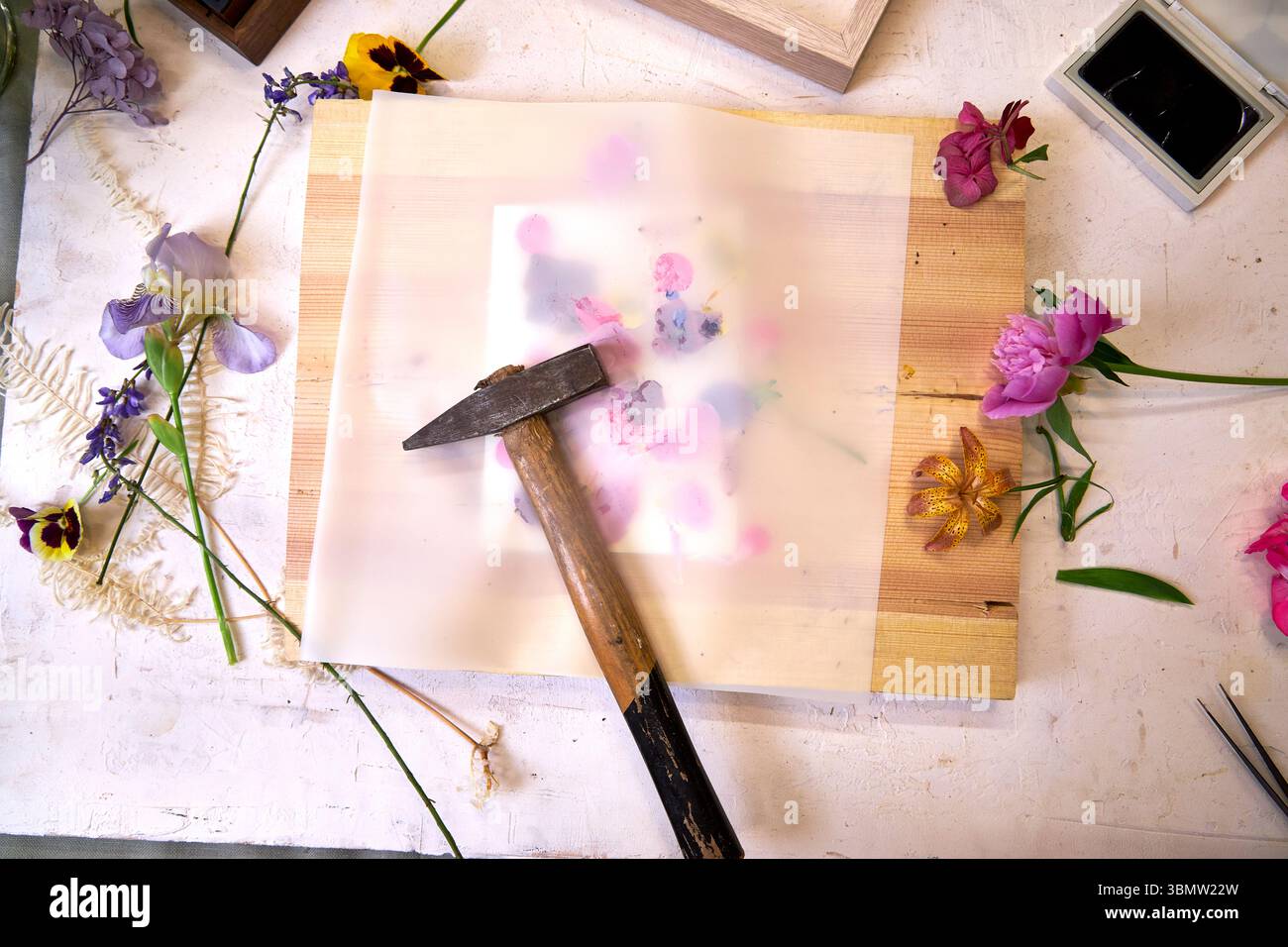 Botanical hammer art in action – flower pigments visible through ...