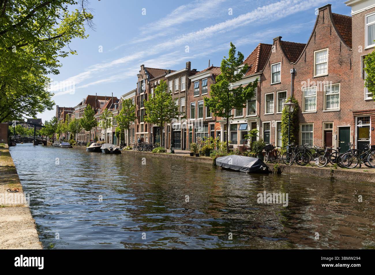 Picturesque Oude Rijn canal in Leiden, lined with charming historic ...