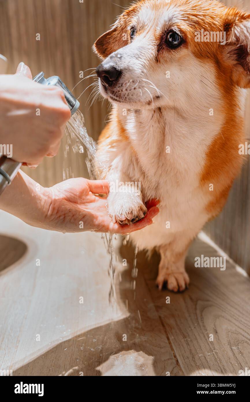 Routine flow hi-res stock photography and images - Alamy