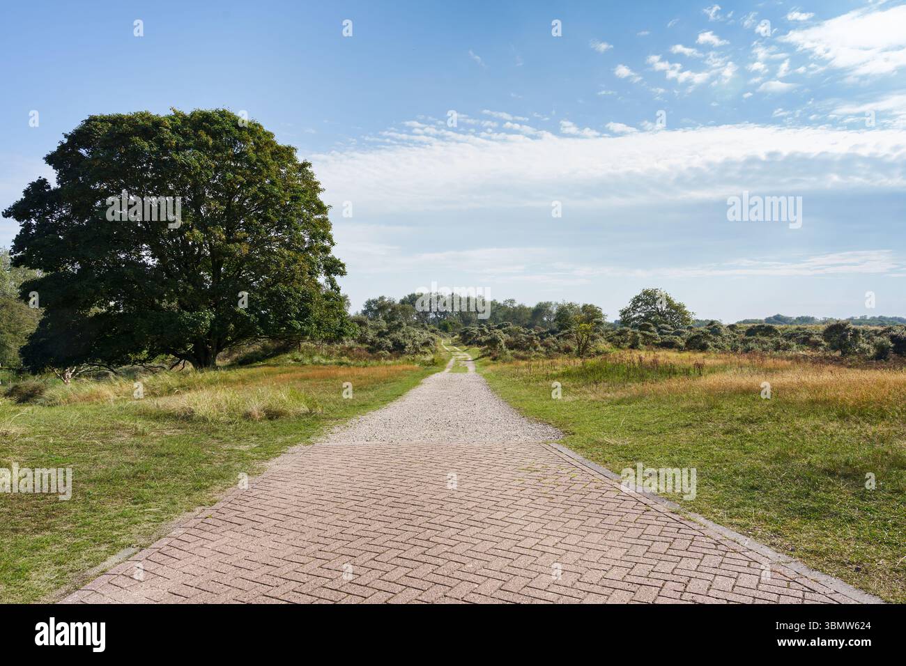 Pathway stretching through quiet meadow under clear sky, calling to walk, breathe, pause, relax ...