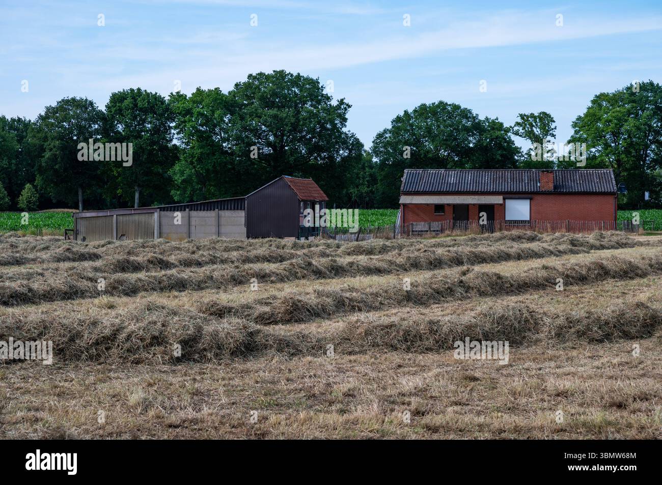 Farmhouse and hay stack at the Flemish countryside in Olmen, Antwerp ...