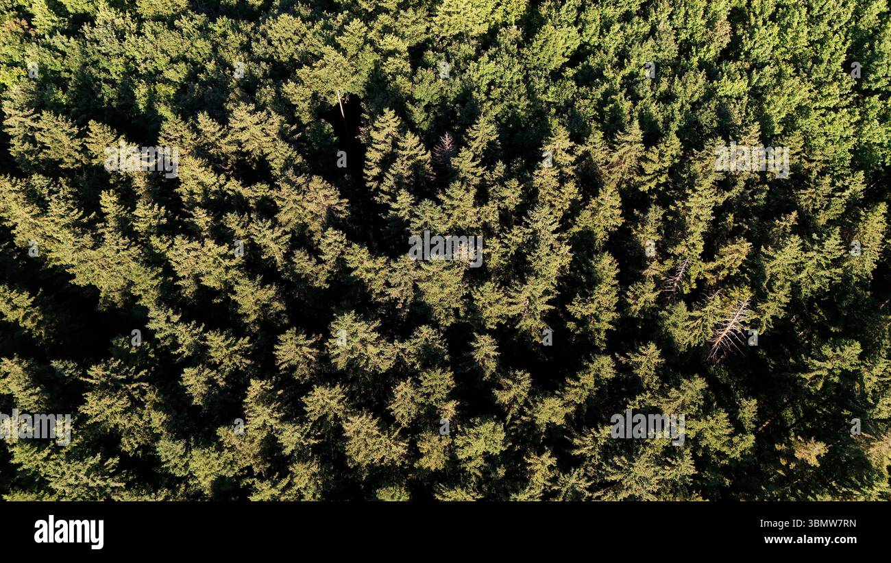 Ein Sommertag in Tutzing Landkreis Starnberg. Hier der Blick von der ...