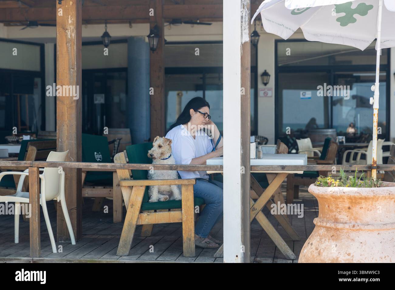 Haifa israel june 2025 hi-res stock photography and images - Alamy