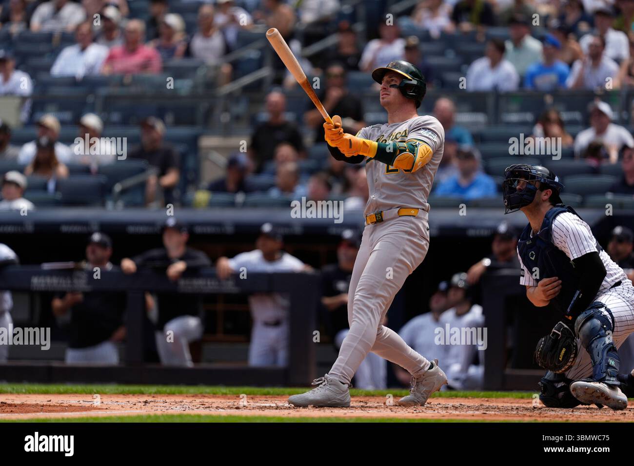 BRONX, NY - JUNE 28: Athletics Designated Hitter Brent Rooker (25 ...