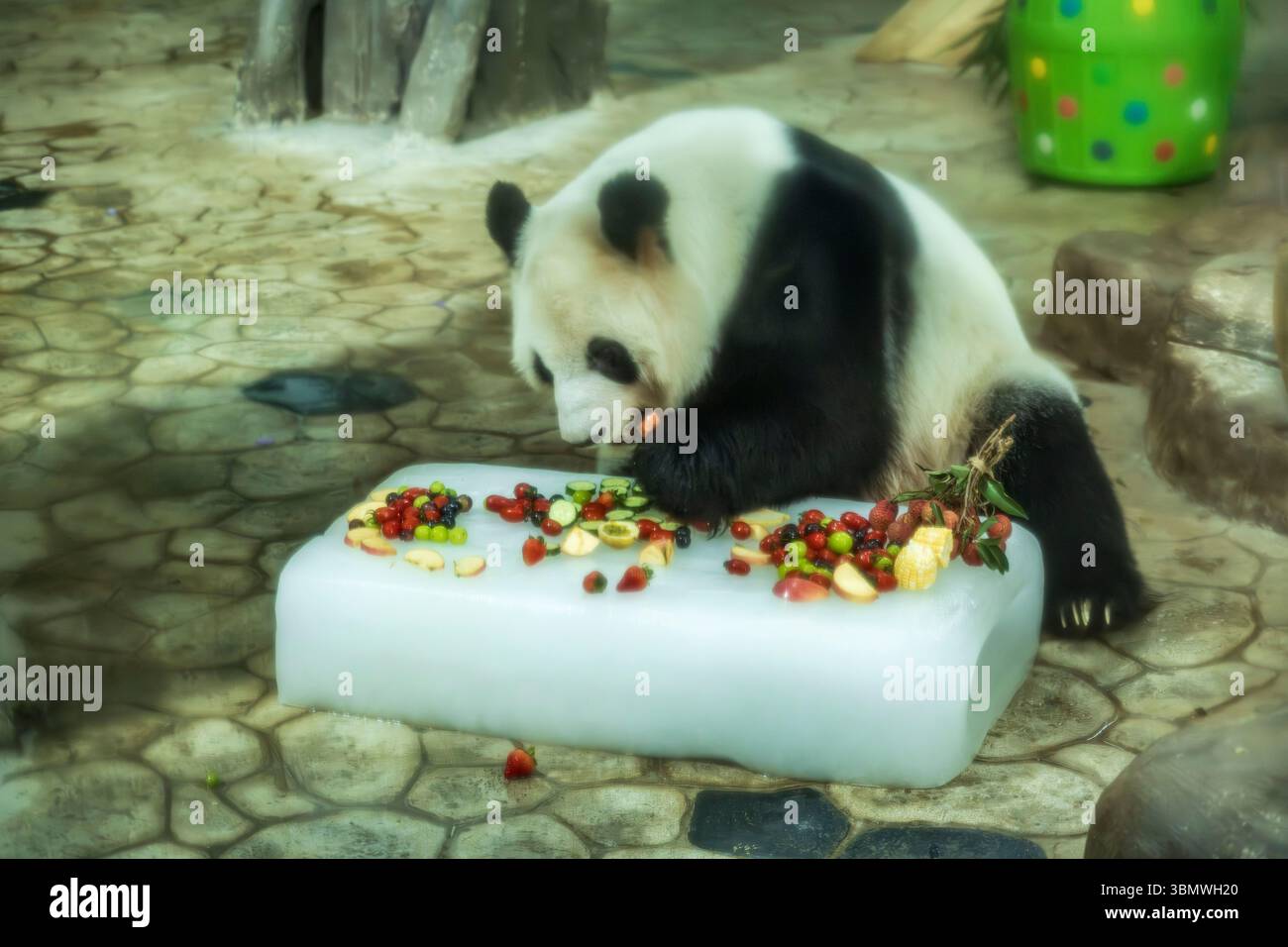 NANNING, CHINA - JUNE 28, 2025 - The 9th birthday celebration of the ...