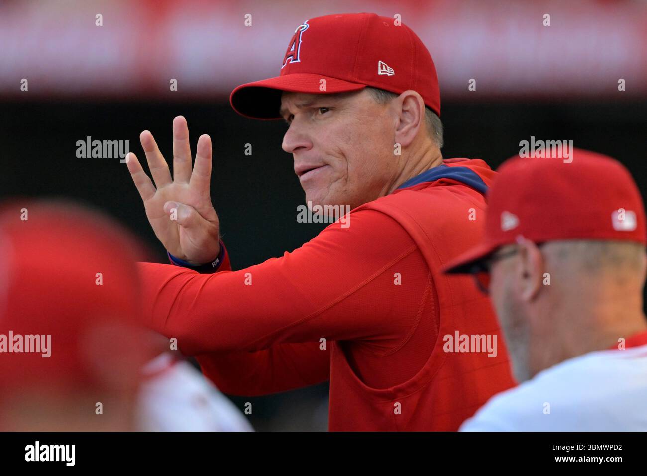 Los Angeles Angels interim manager Ray Montgomery signals from the ...