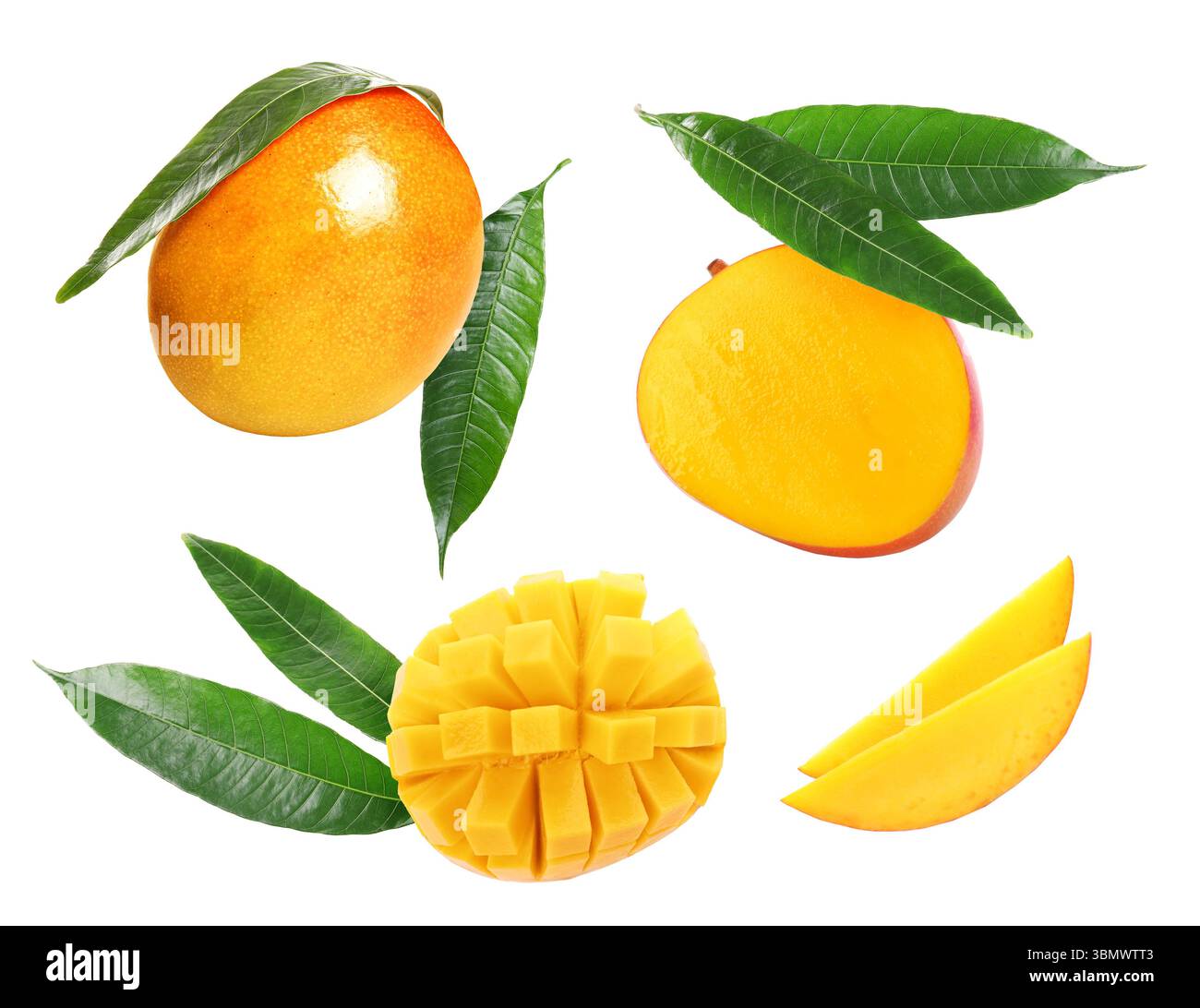 Sweet mango fruits and green leaves isolated on white, set Stock Photo ...
