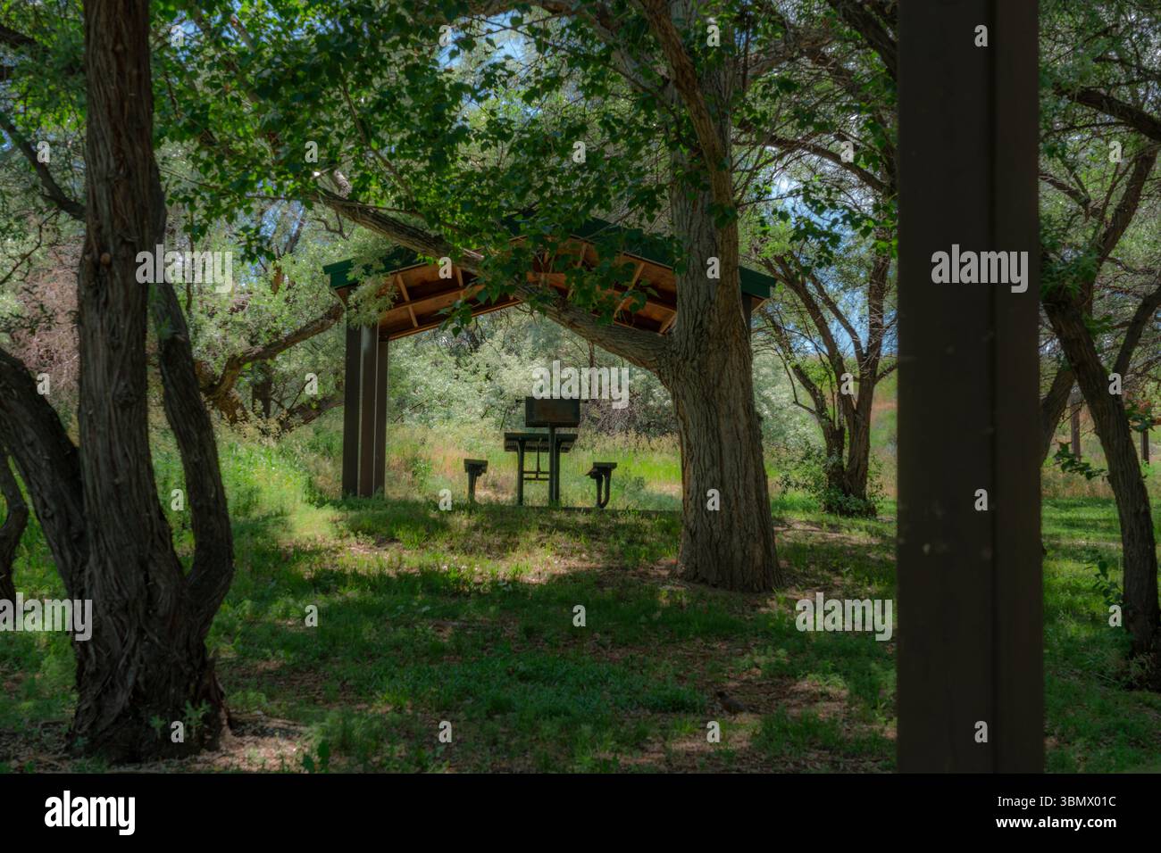 A picnic table & grill in a park set underneath a roof ramada make a ...