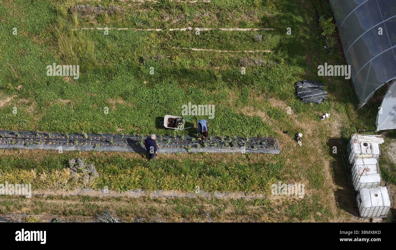 Aerial View of a Rural Landscape Depicting Agricultural Activities With ...