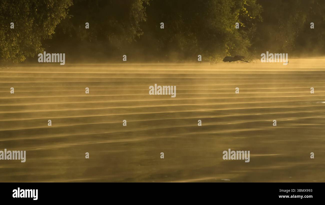 Sunset, danube delta, landscape, romania Stock Photo - Alamy