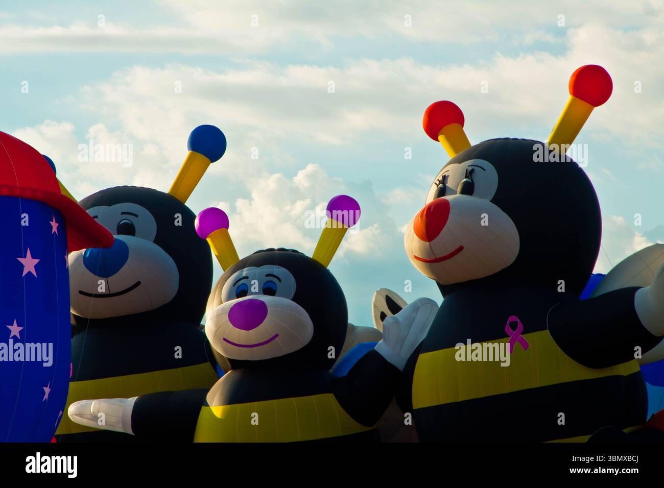 Hot air balloon mass ascension hi-res stock photography and images - Alamy