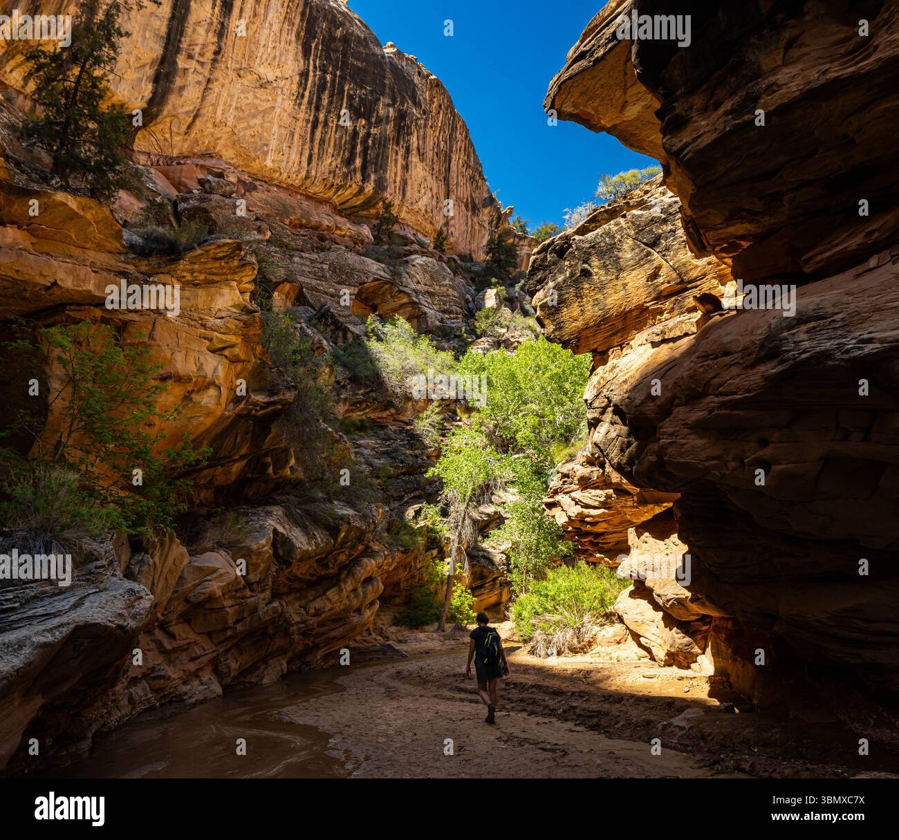 Usa utah escalante female hiker hi-res stock photography and images - Alamy