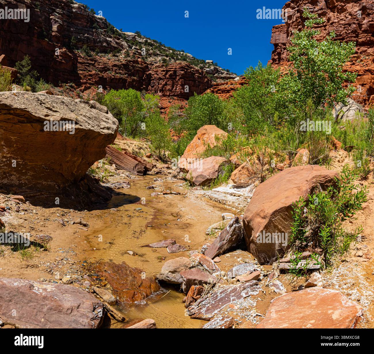 Cottonwood Creek Running Through Lower Hackberry Canyon, Grand ...