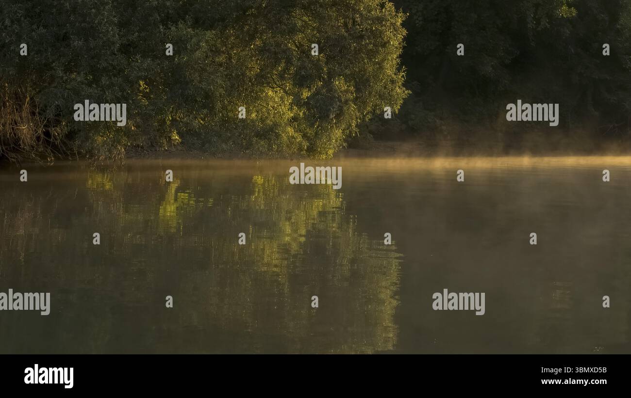 Delta landscape hi-res stock photography and images - Alamy