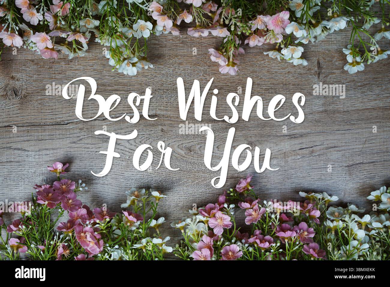 Best Wishes For You text message with flowers decoration on wooden ...