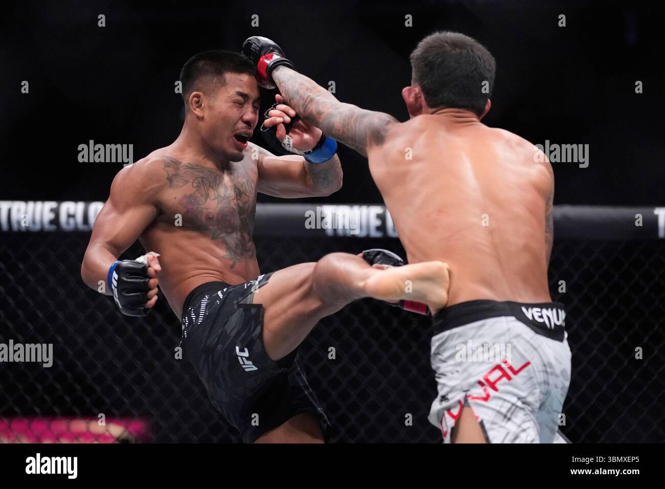 Joshua Van kicks Brandon Royval in a flyweight fight at UFC 317 ...