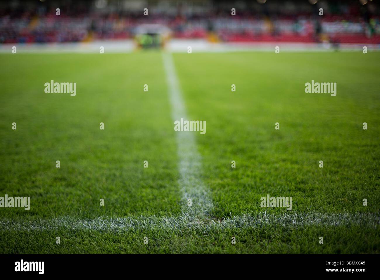 White center line and green grass turf being shown in flat design, with ...