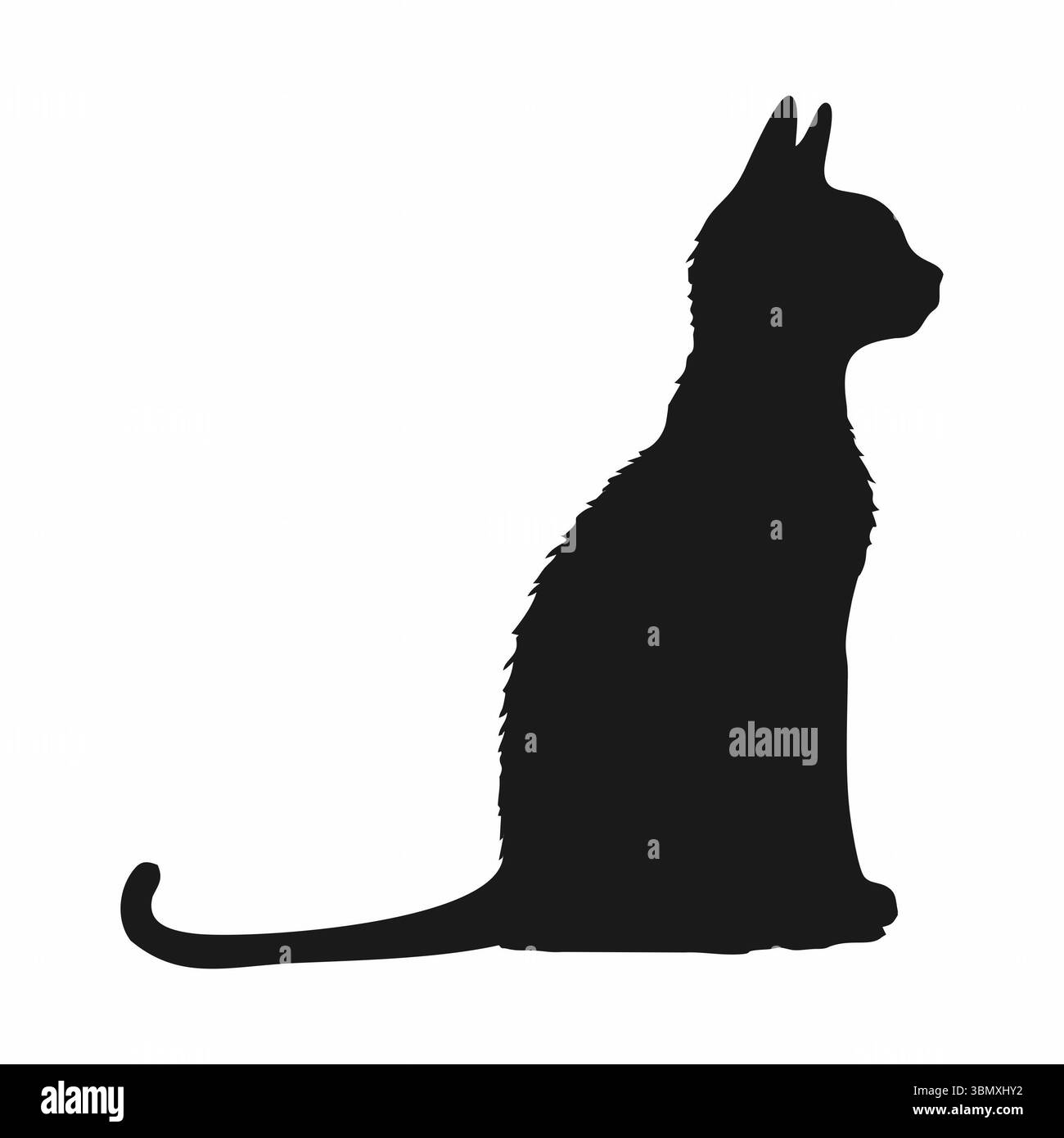 Vector illustration cat standing Black and White Stock Photos & Images ...