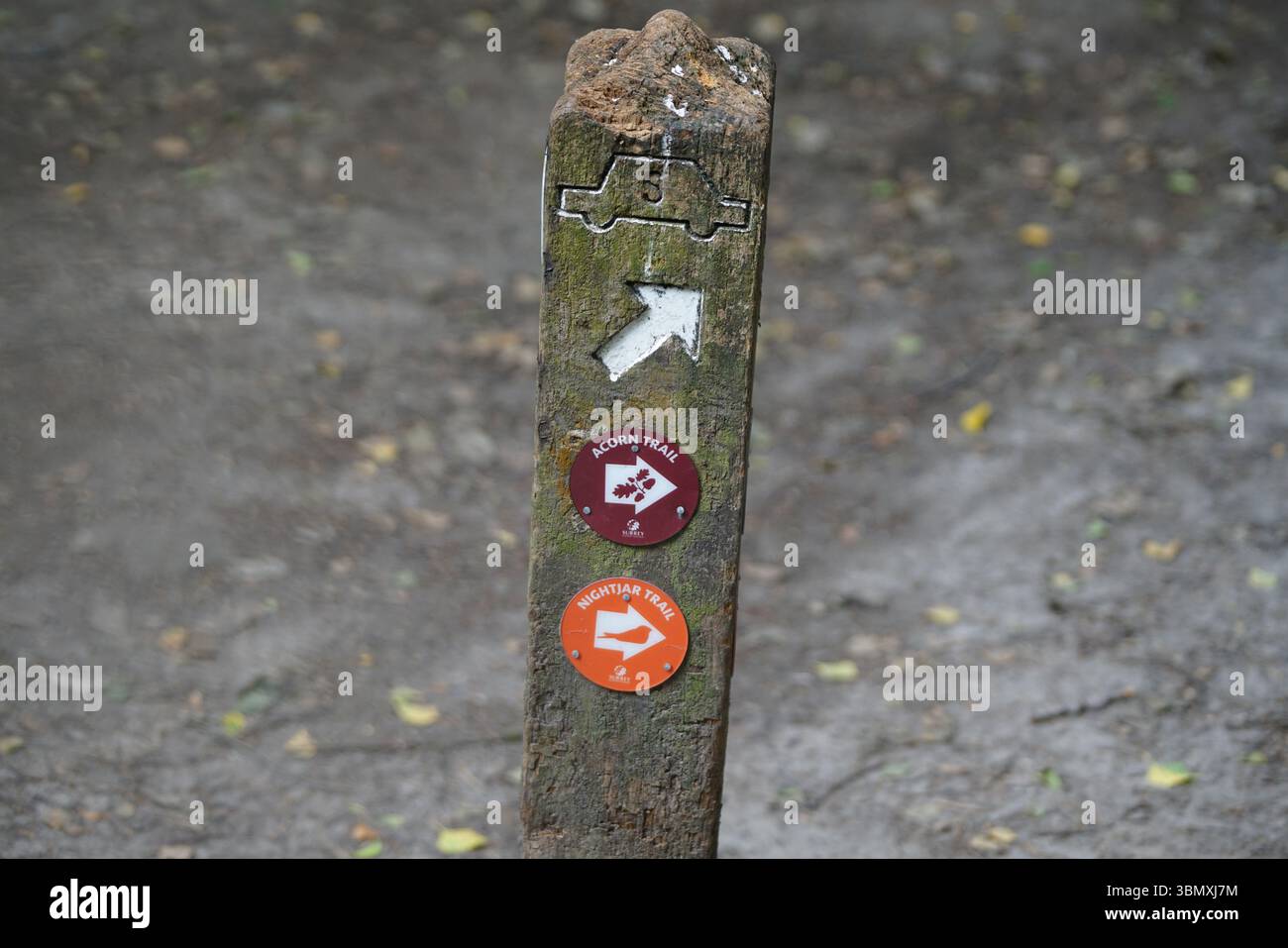 Trail Marker on Grass Pathway Surrounded by Greenery and Vegetation ...