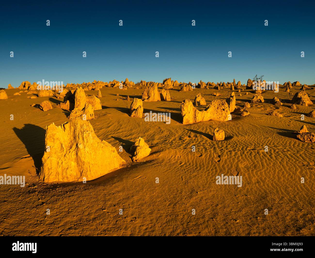 Nambung National Park near Cervantes, Western Australia, is home to a ...