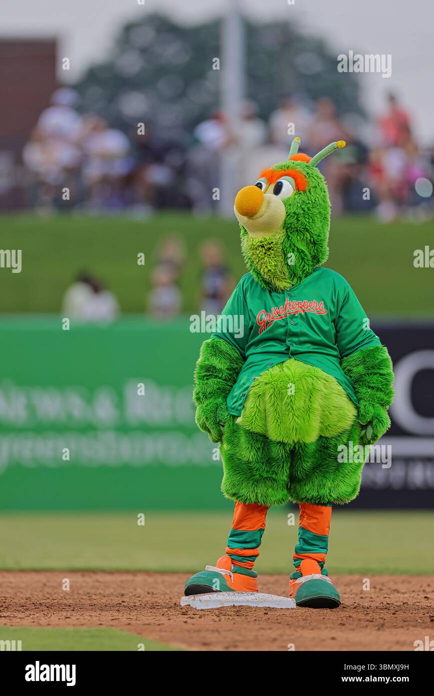 Greensboro, NC: Greensboro Grasshoppers mascot Guilford readies for the ...