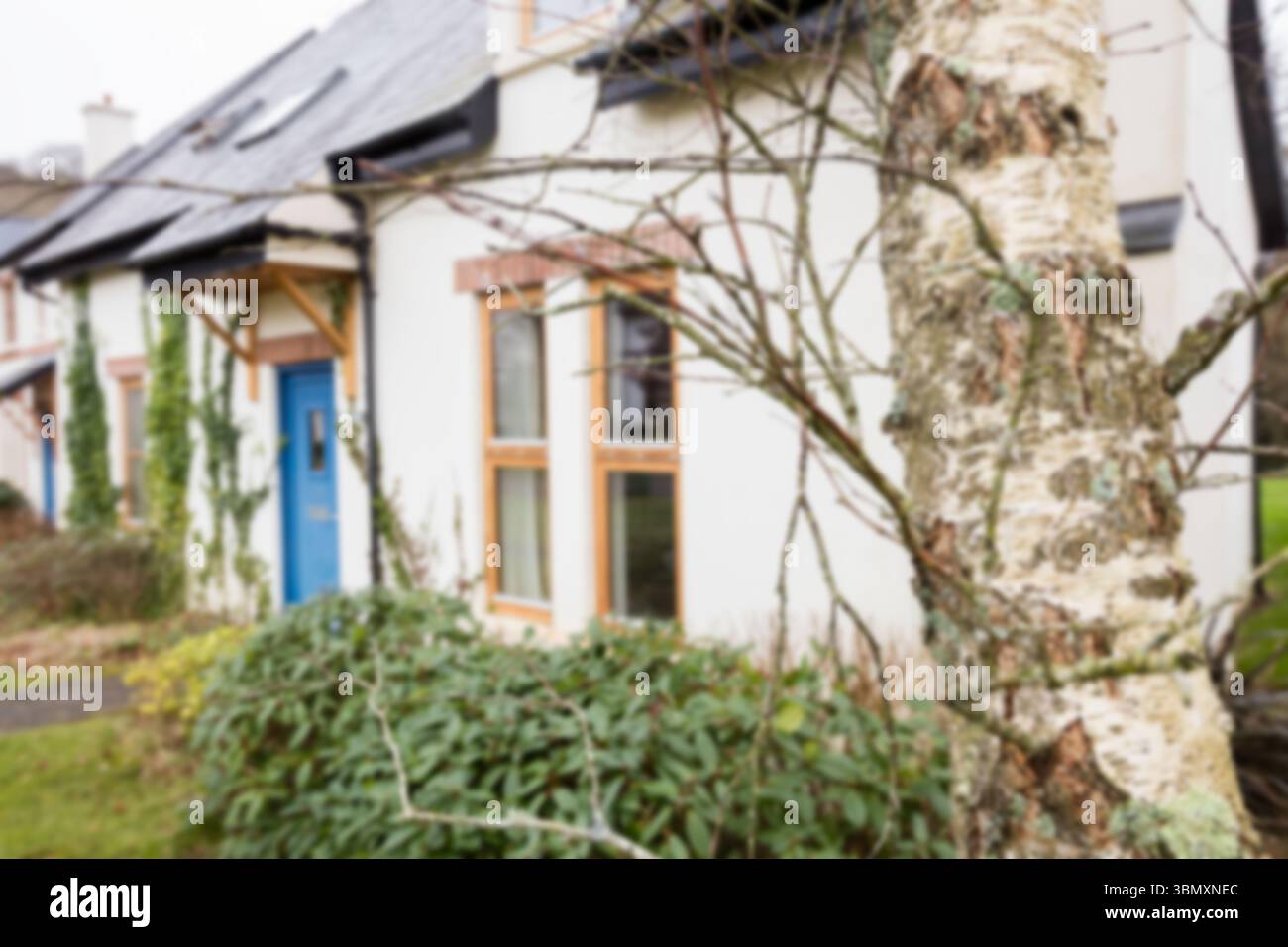 Tree and plants against house Stock Photo - Alamy