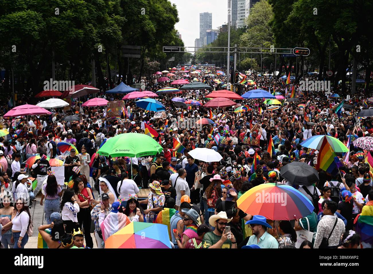 47th Annual Pride March Celebrated in Mexico City Members of the ...