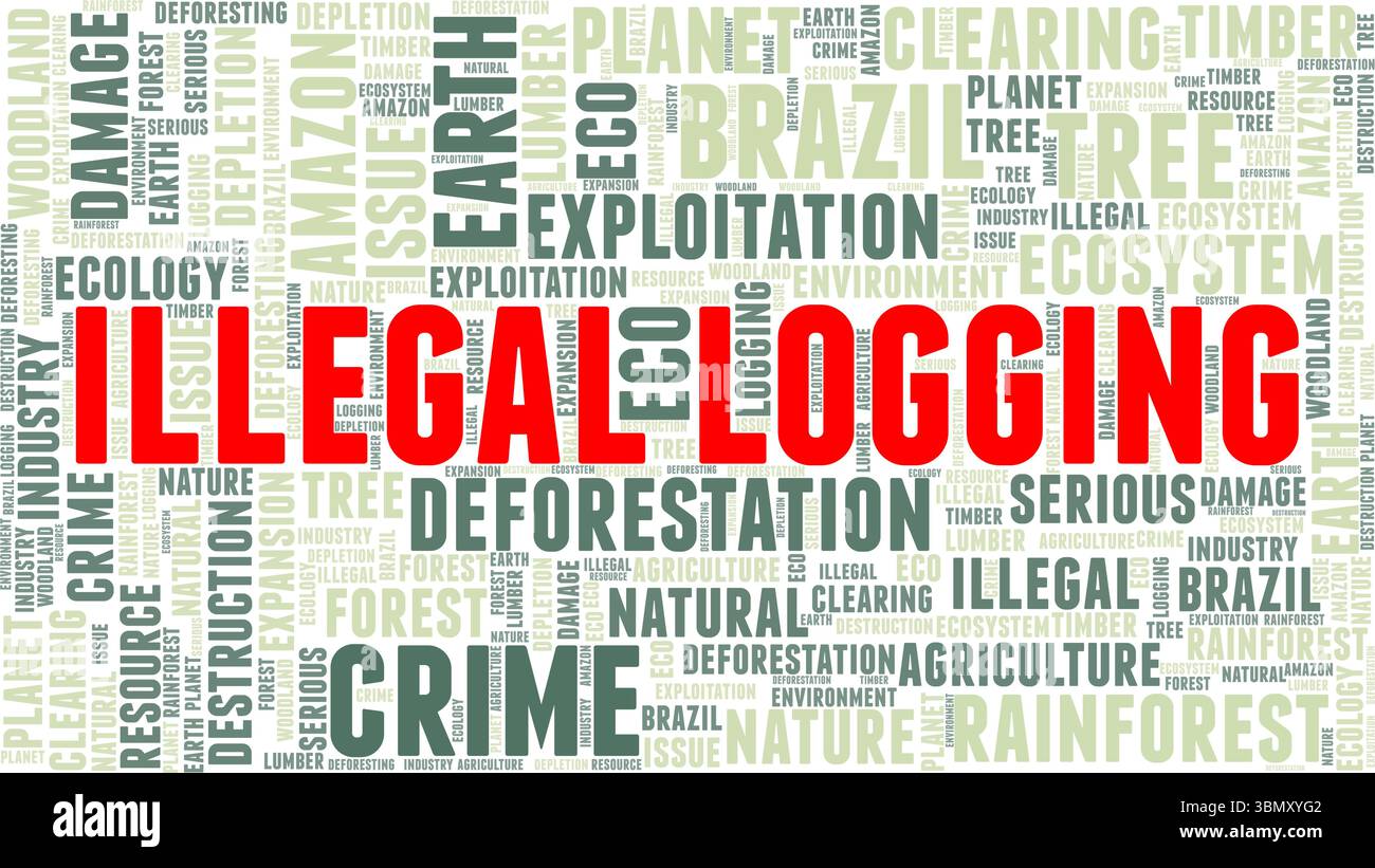 Timber supply chain Stock Vector Images - Alamy