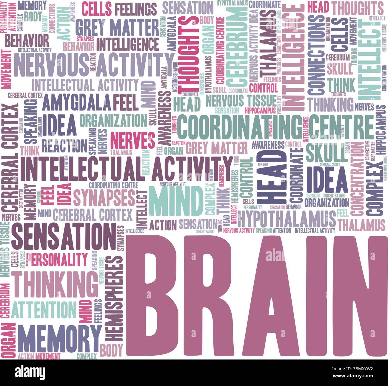 Cognitive stimulation brain development Stock Vector Images - Alamy