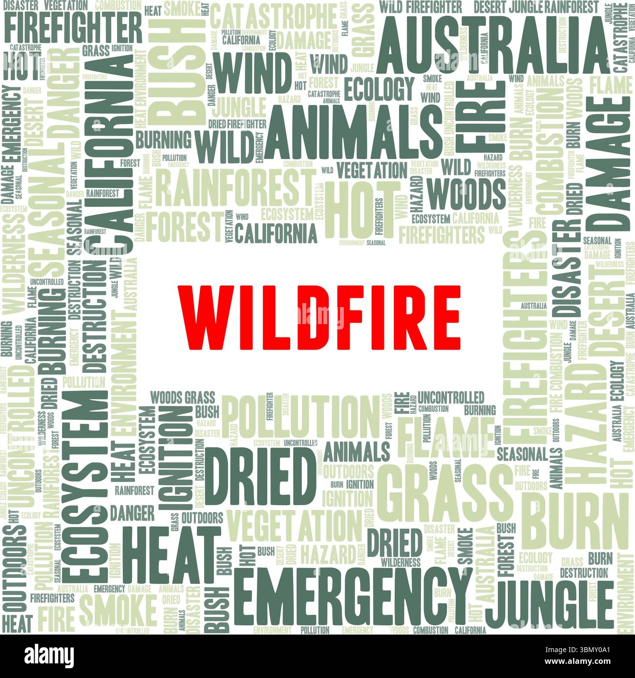 Wildfire word cloud conceptual design isolated on white background ...