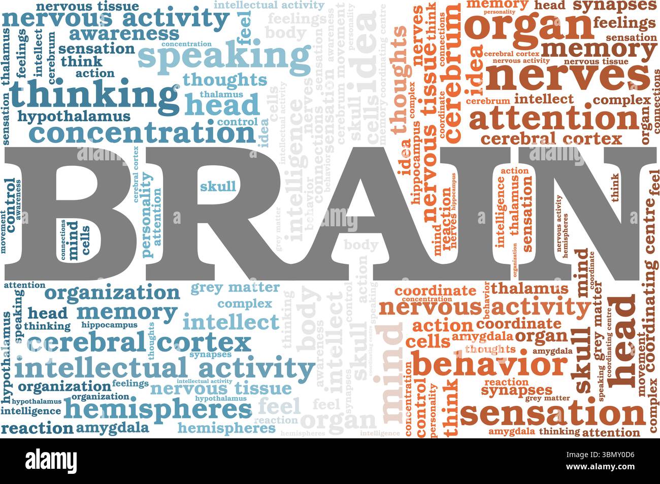 Brain word cloud conceptual design isolated on white background Stock ...