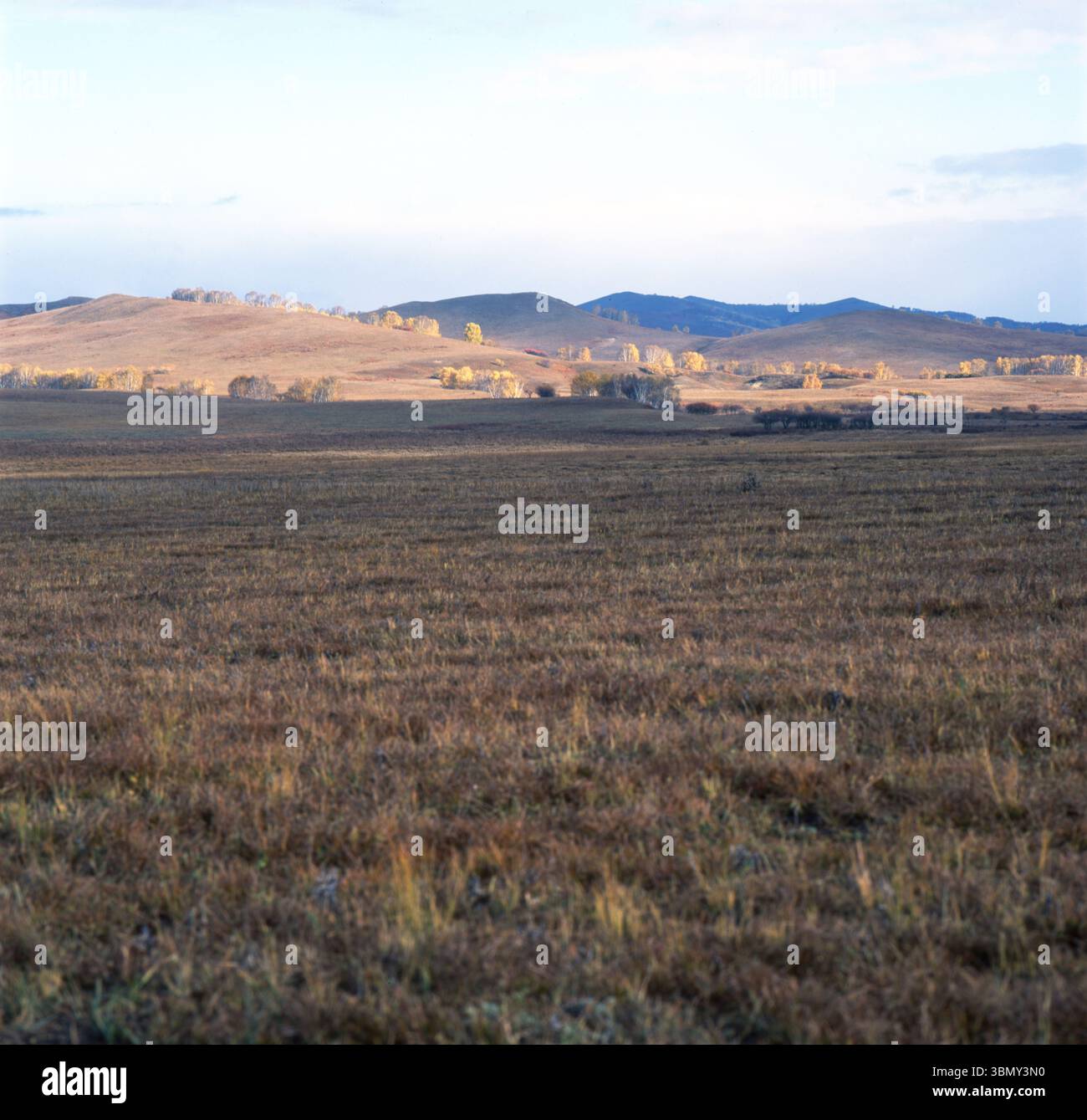 Subtle inner patterns hi-res stock photography and images - Alamy