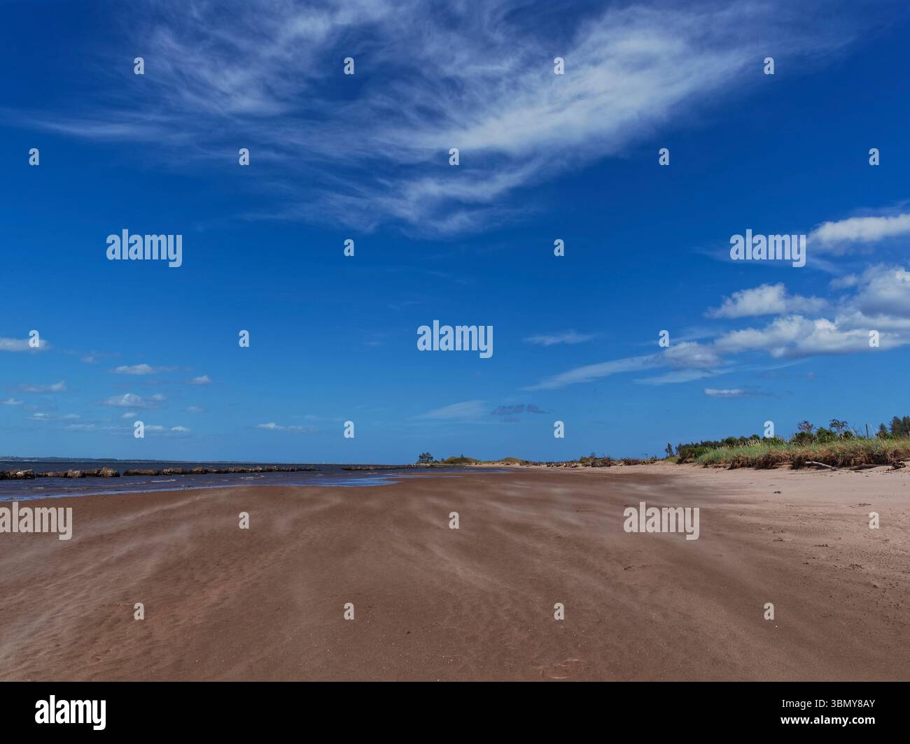 Wind blown sand being swept up the beach at Tentsmuir Point on the ...