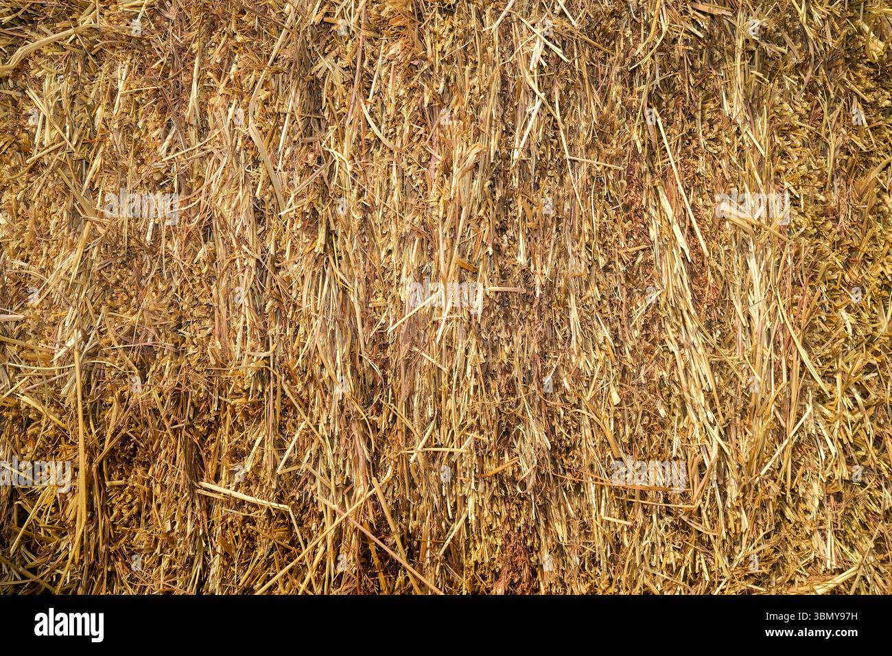 Grass hay dry hi-res stock photography and images - Alamy