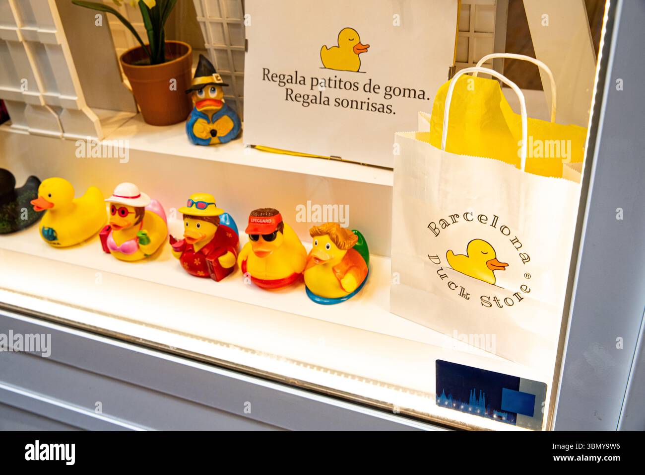 Barcelona duck shop hi-res stock photography and images - Alamy
