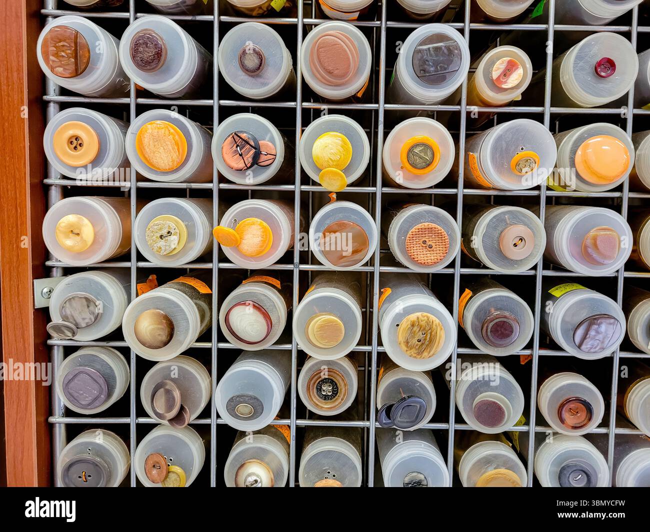 A Colorful and Intriguing Display Featuring a Variety of Natural ...