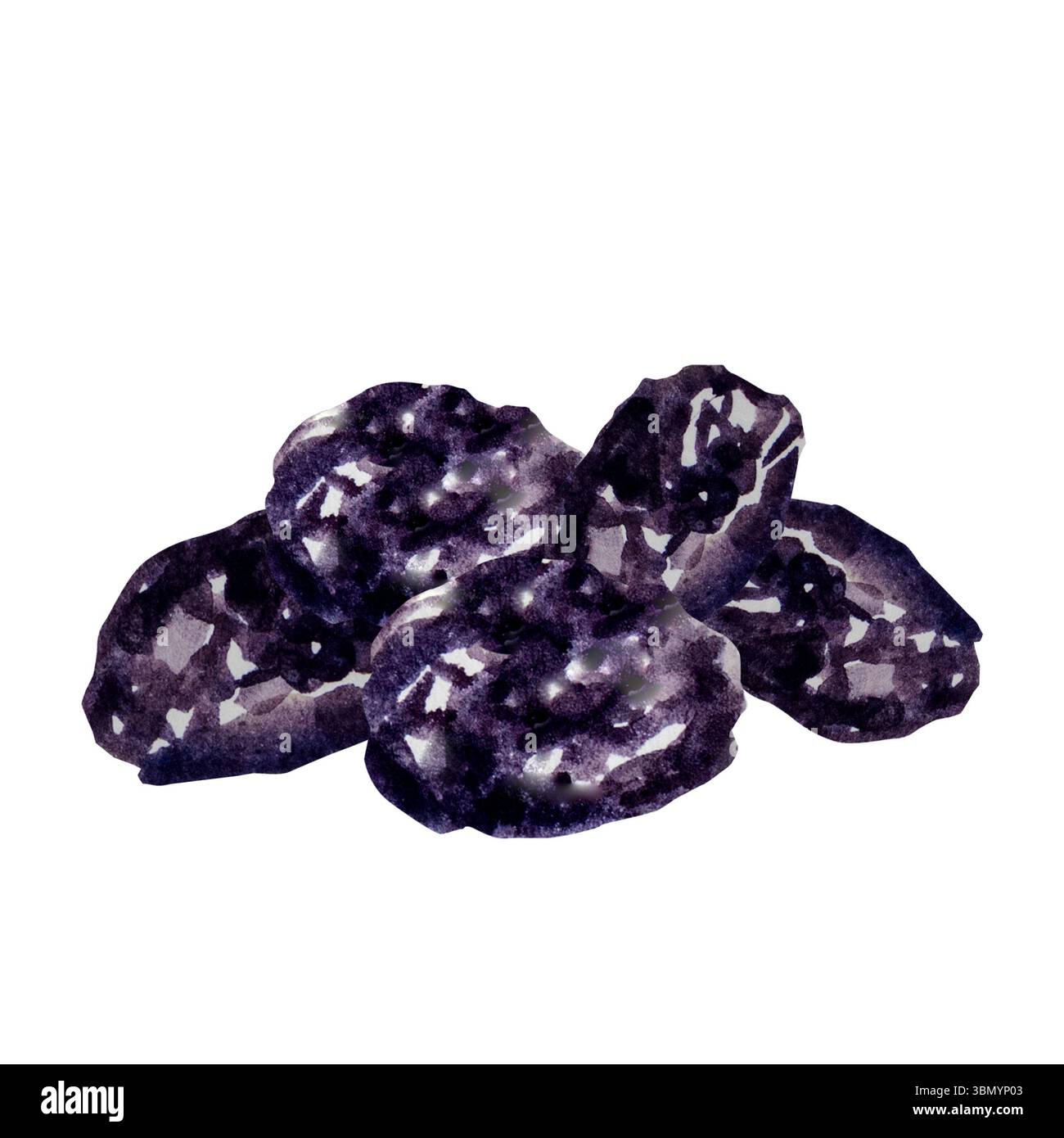 Prunes, dried plum, watercolor illustration, hand drawing Stock Photo ...