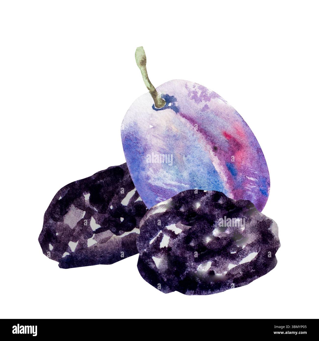 Prunes, dried plum, watercolor illustration, hand drawing Stock Photo ...