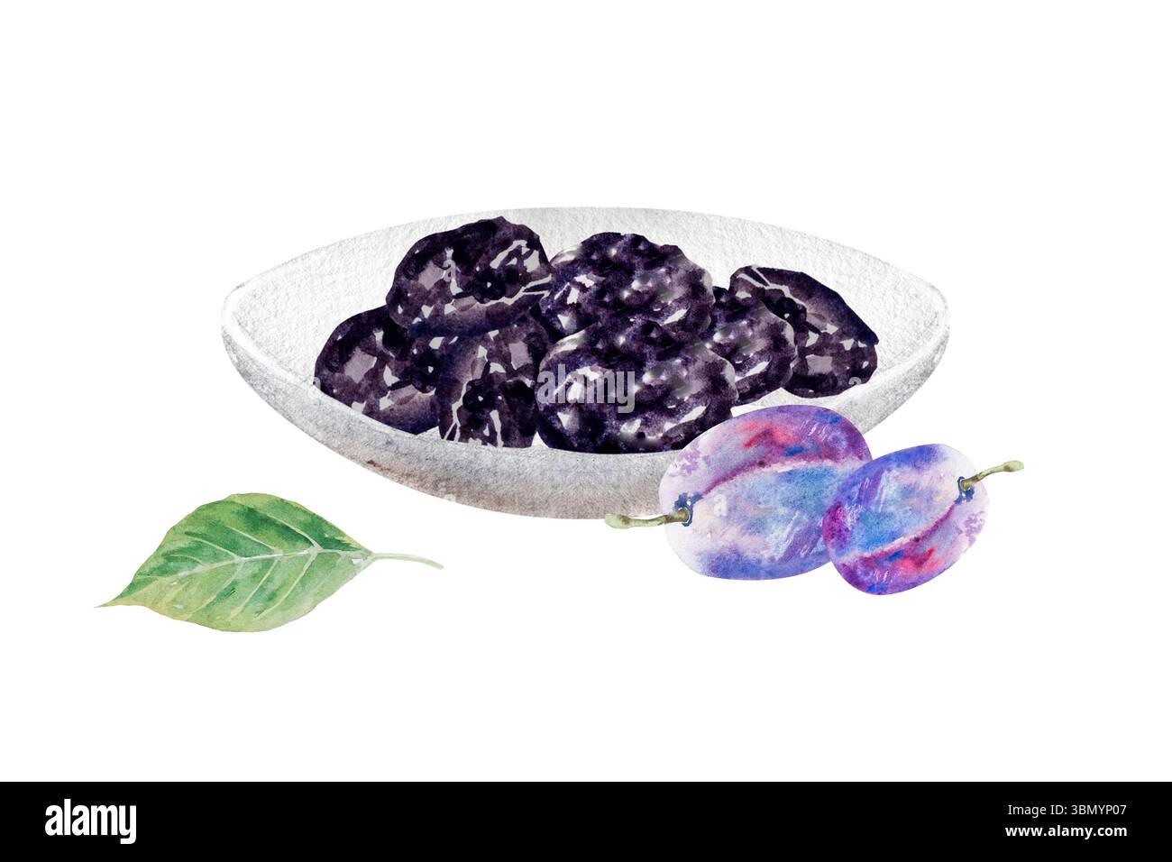 Prunes, dried plum, watercolor illustration, hand drawing Stock Photo ...