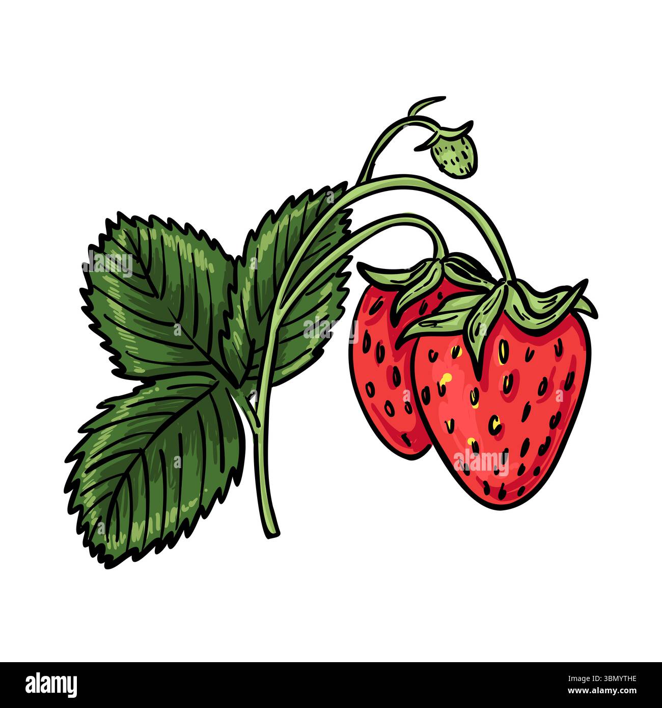 Ripe unripe green red Stock Vector Images - Alamy