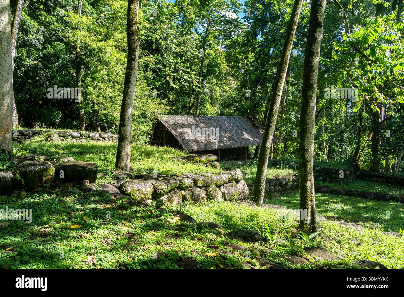 A traditional thatched-roof structure stands amid ancient stone ruins ...