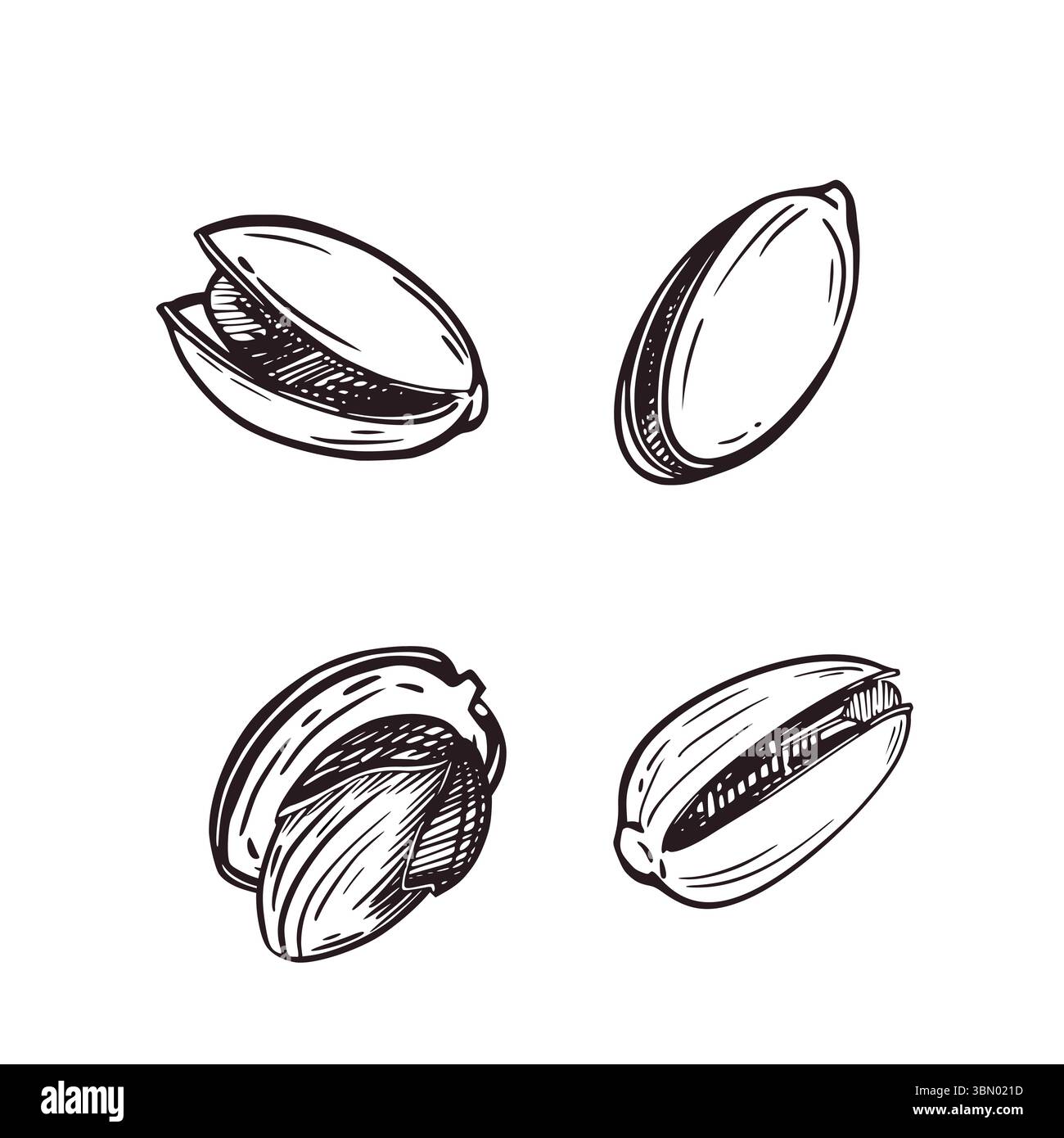Nuts texture shell Stock Vector Images - Alamy
